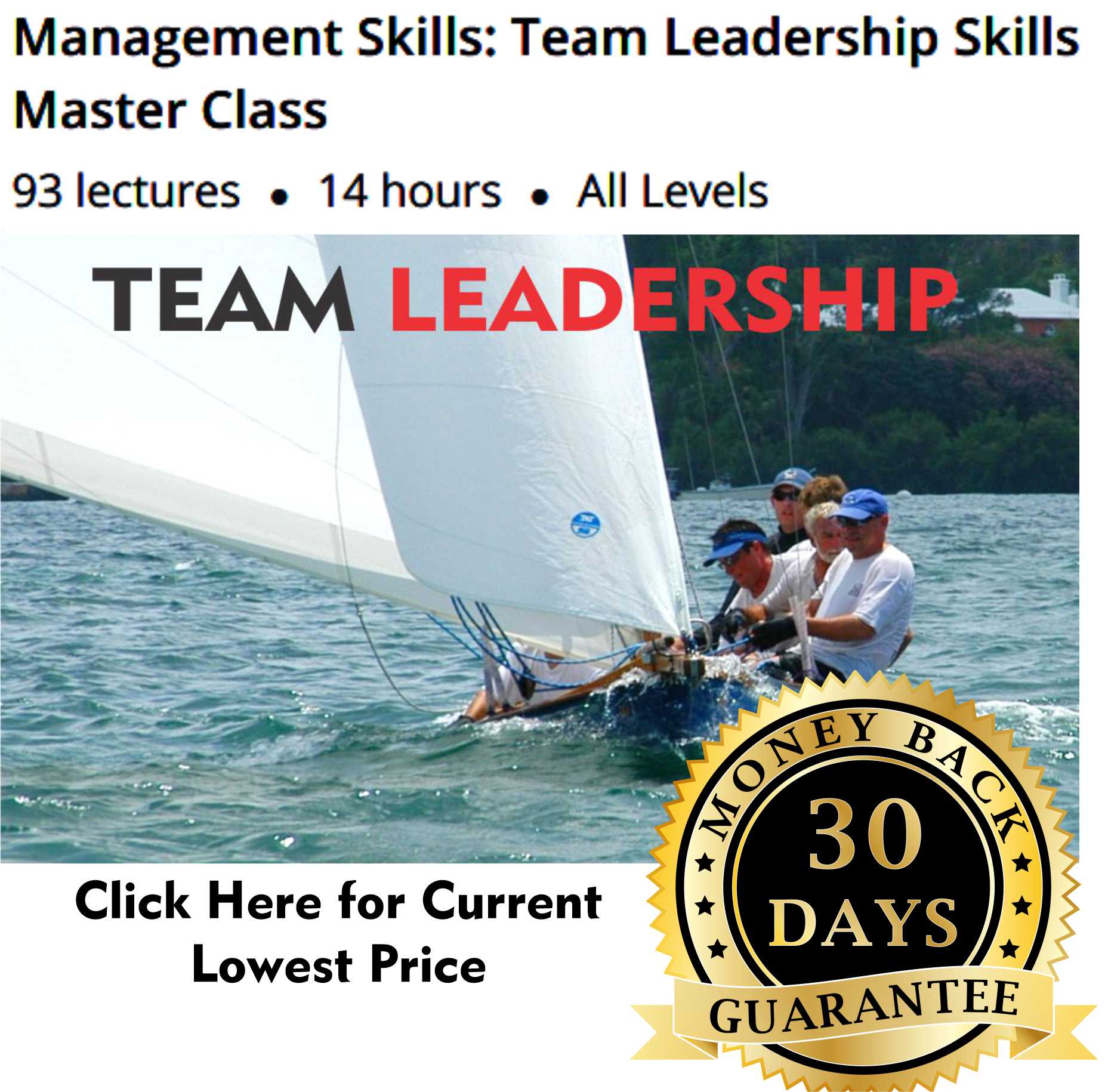 Team Leadership with Badge - Institute for Leadership Excellence, LLC